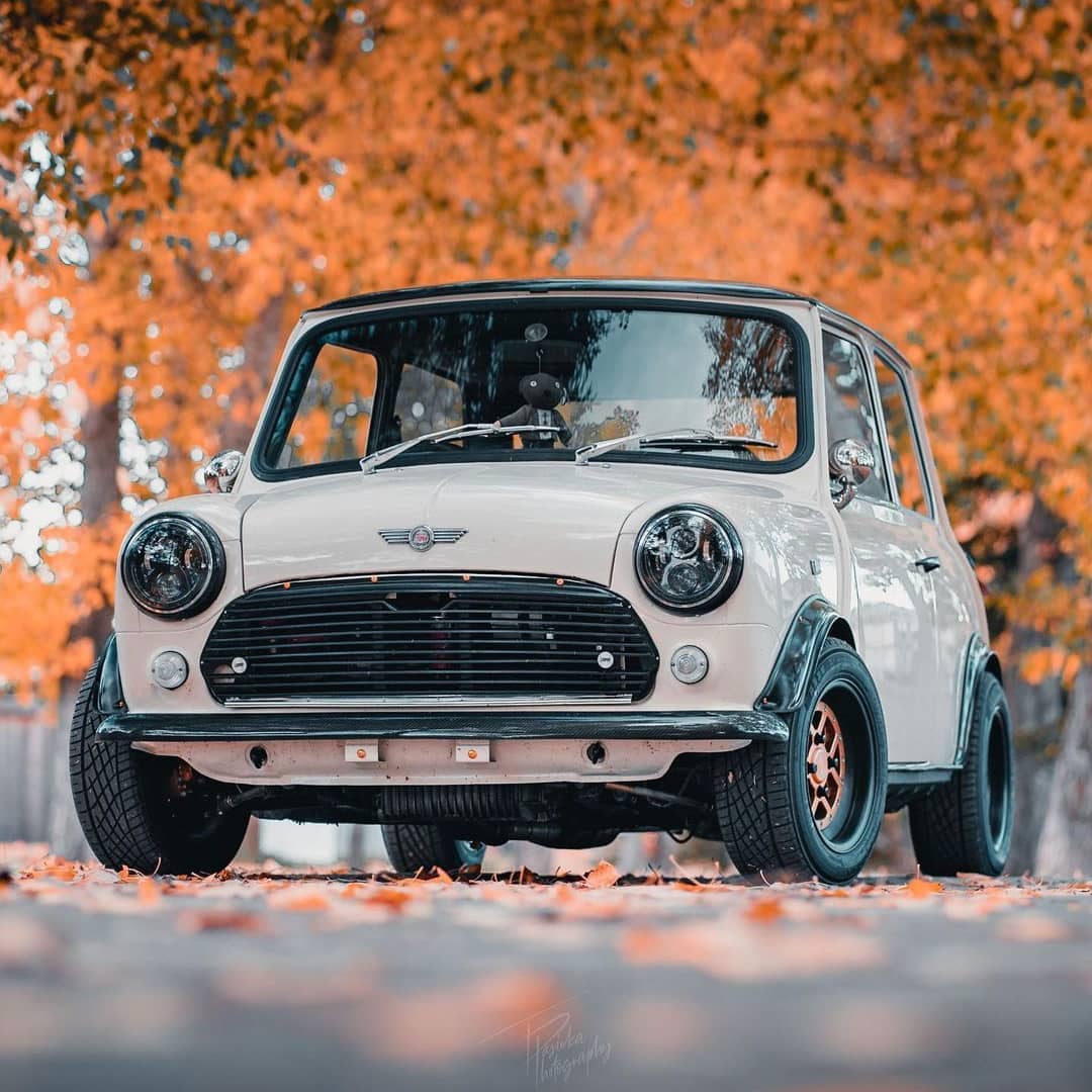 Mini Owners Club